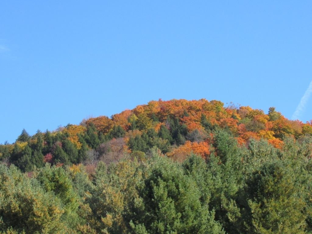 00 Blackmer Boulevard, Stockbridge, VT 05772 | Vermont Real Estate Company